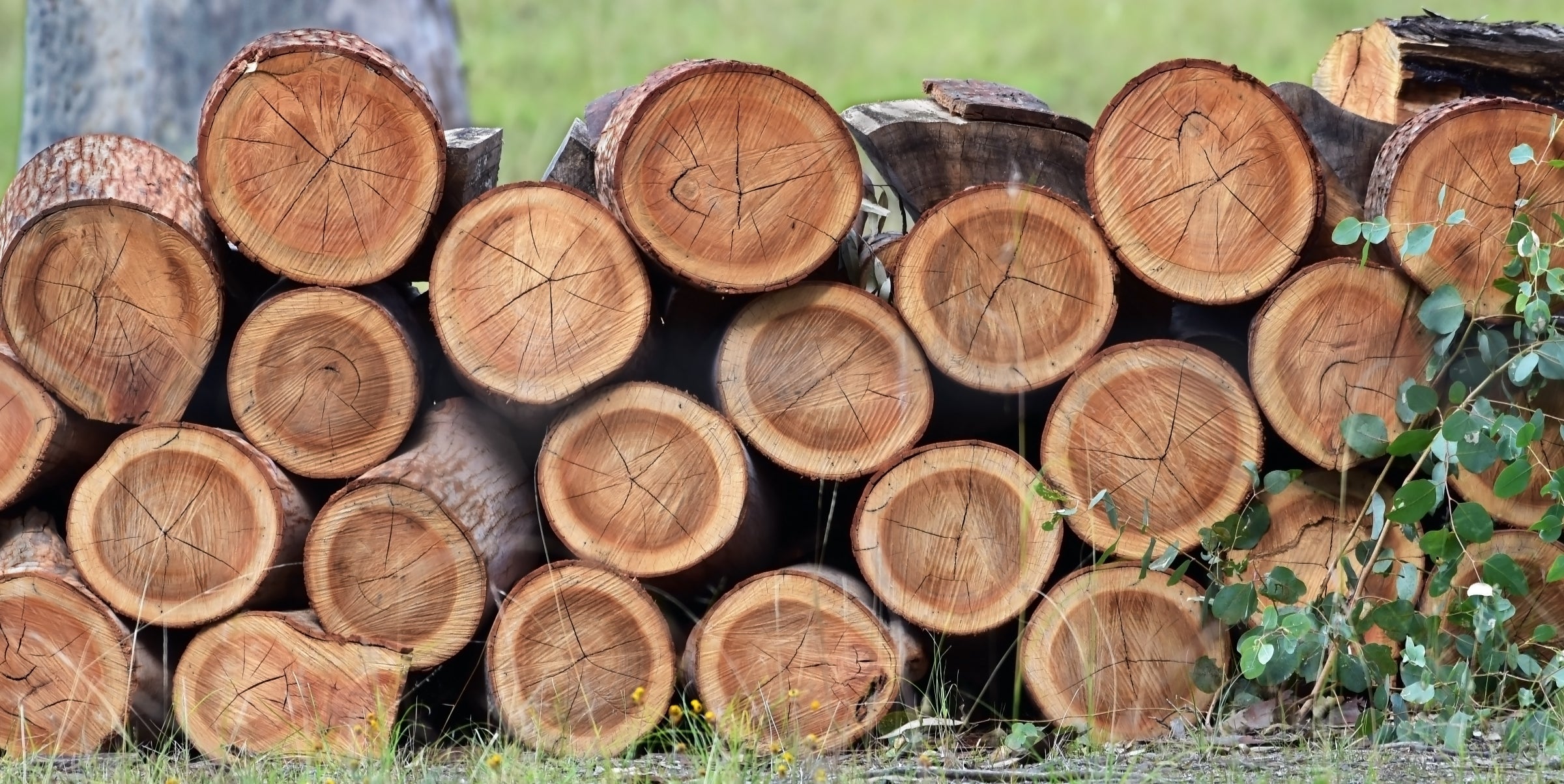 ALTAR Landscape Supply | Bulk Mulch, Stone & Soil in Chicagoland ...